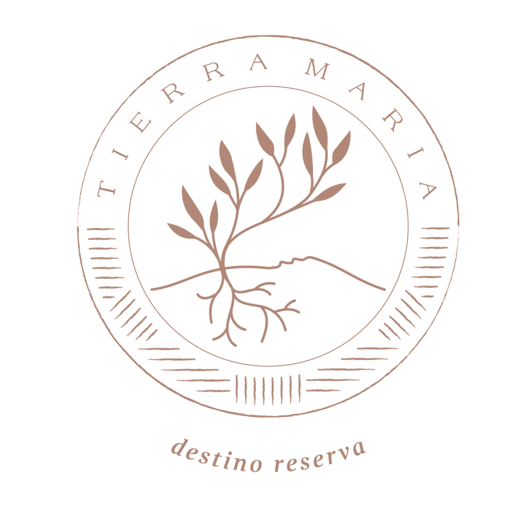 Experiencias - Tierra María