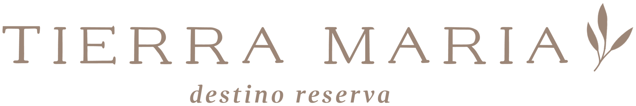 Tierra Maria: Oasis de Lujo en el Desierto Mexicano